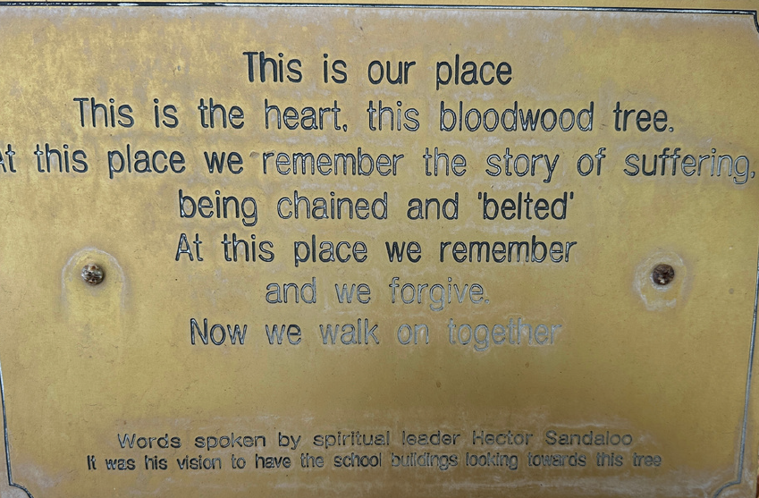 "The Warmun Whipping Tree" - the healing power of forgiveness - Mary ...